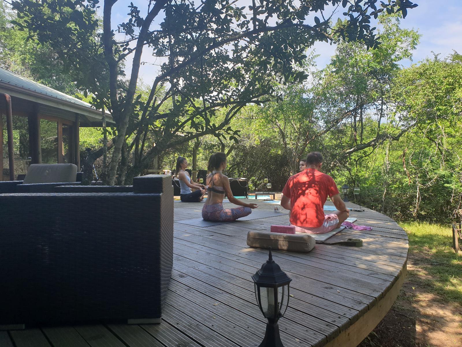 Bushwillow Collection