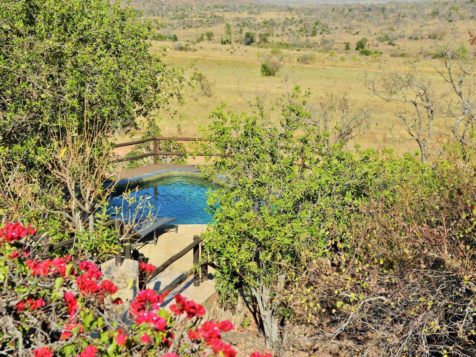 Kololo Game Reserve Rooms | Escape to the Country