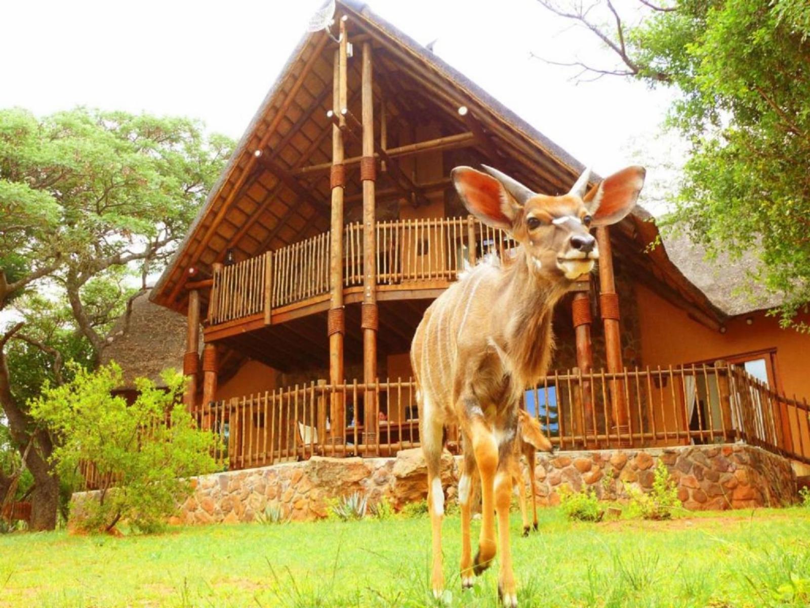 Kololo Game Reserve Rooms | Escape to the Country