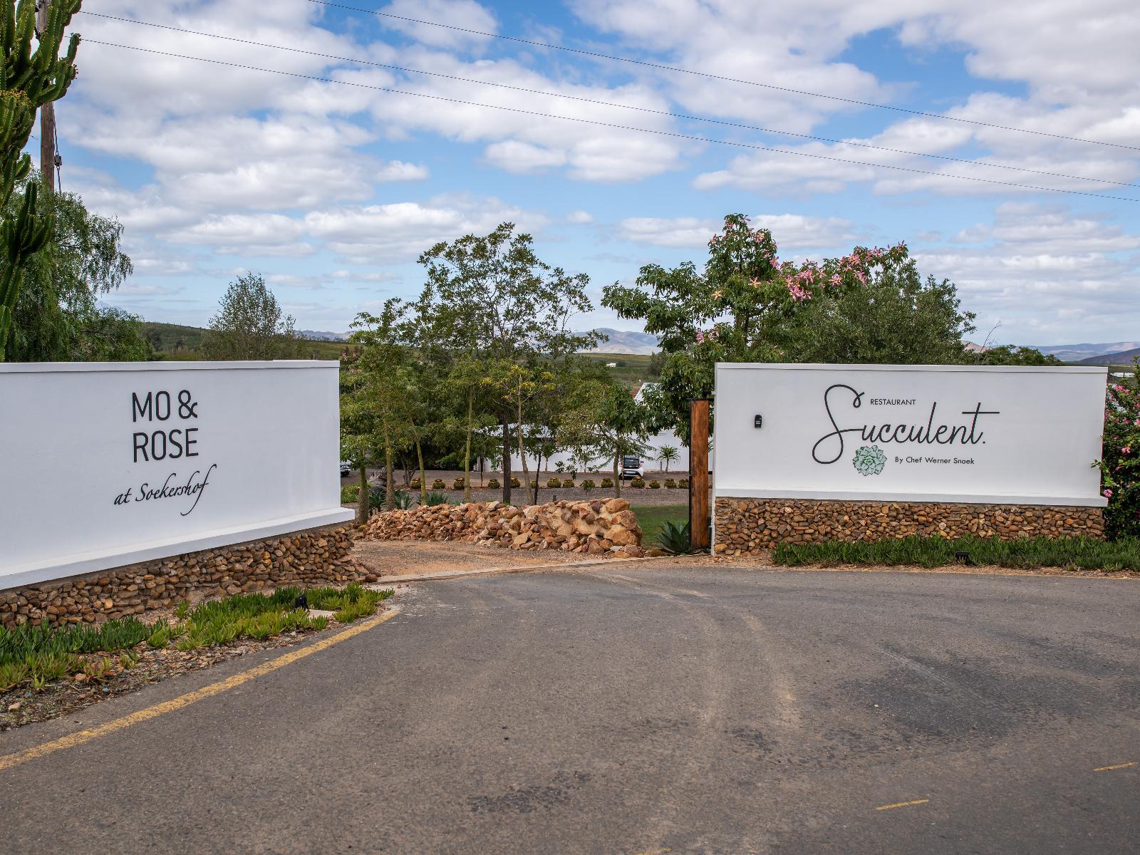 Rietvallei Wine Estate