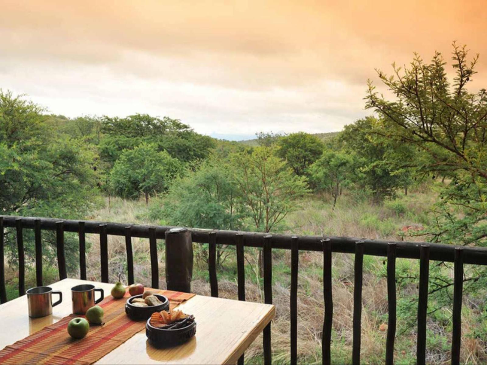 Shikwaru Lodge | Budget Accommodation Deals and Offers Book Now!