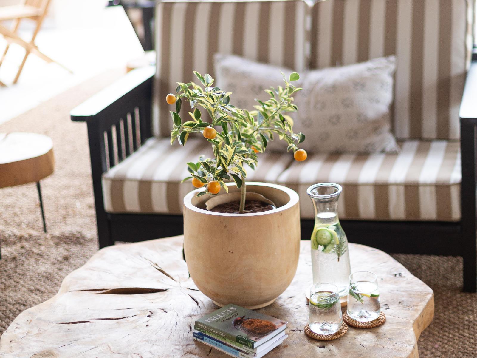 Zenzele River Lodge | Secure Your Holiday, Self-Catering, or Bed and ...