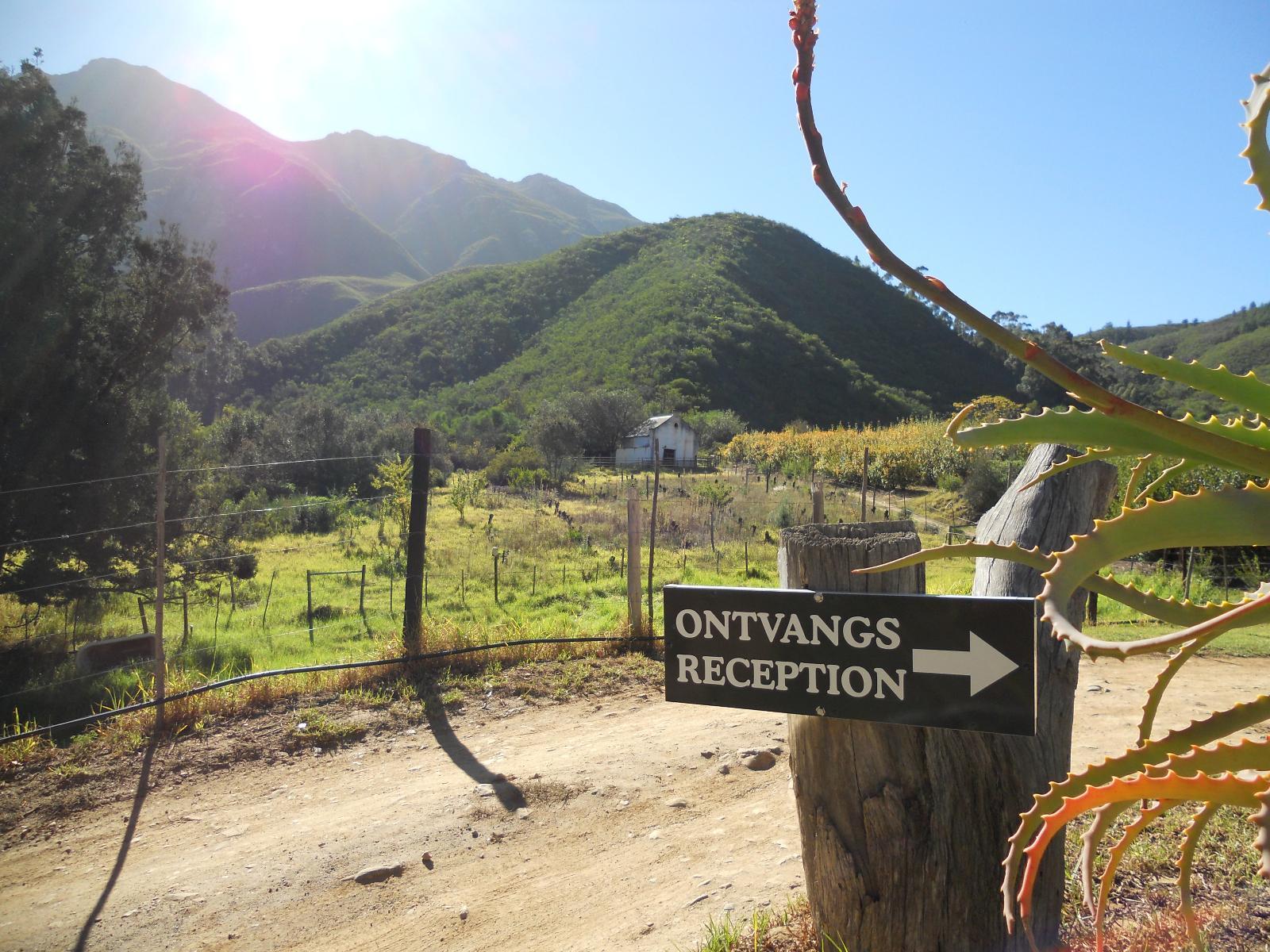 De Hoop Cottages | Book Your Dream Self-Catering or Bed and Breakfast Now!