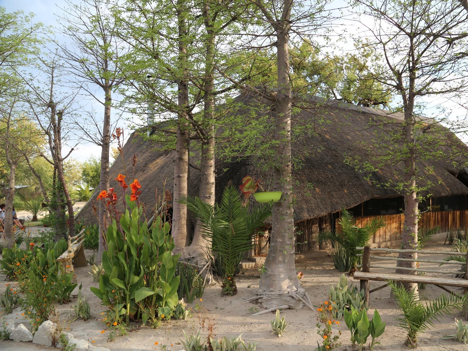 Tucsin Tsumkwe Lodge