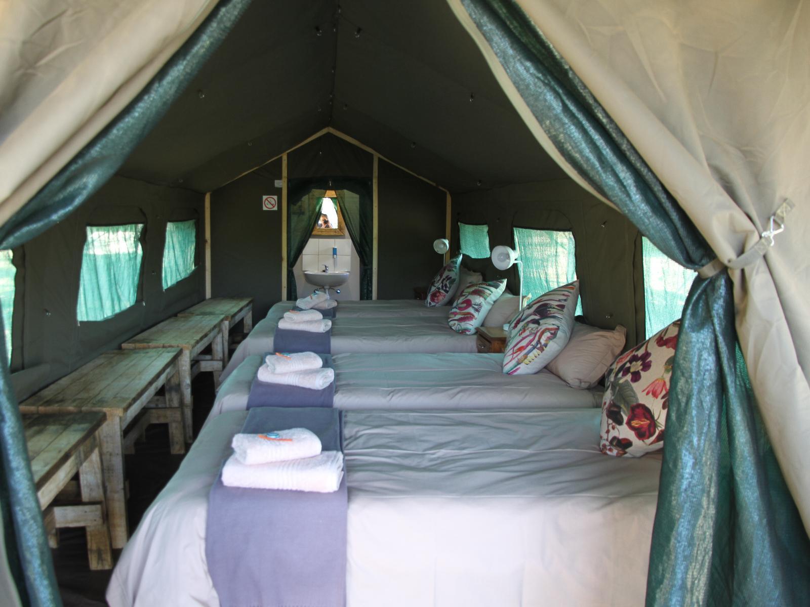 Goanikontes Oasis Rest Camp | Get the Best Accommodation Deal - Book ...