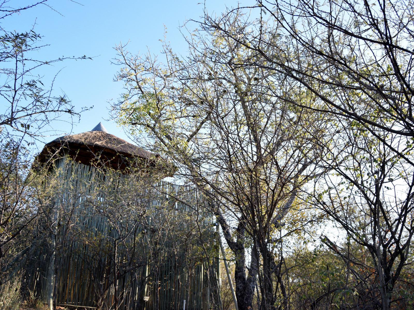 Thulani Game Lodge & Eco Estate