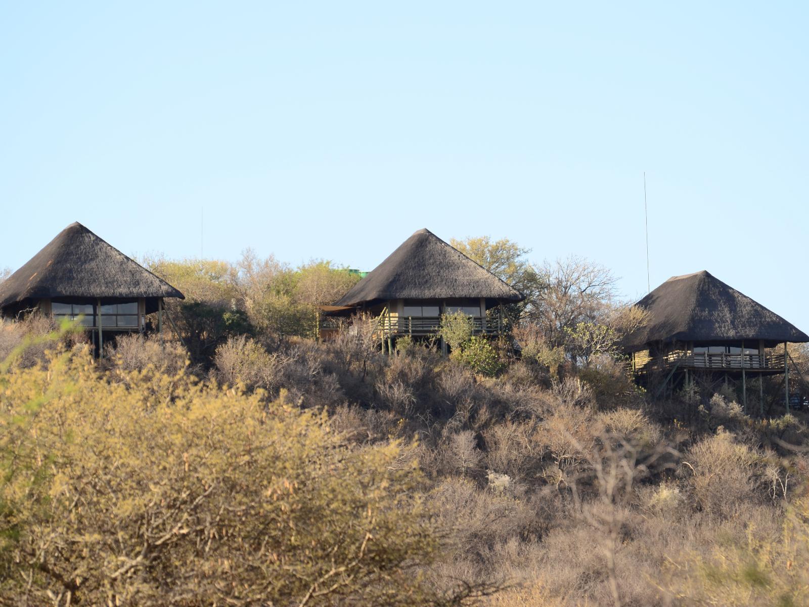 Thulani Game Lodge And Eco Estate in Waterberg - BEST Getaways - South ...