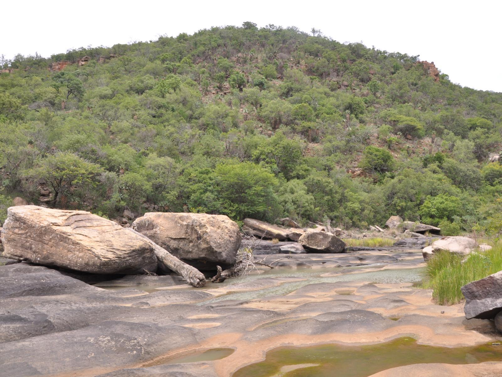 Gangeni Safari Bush Lodge in uMnambithi (Ladysmith) - BEST Getaways ...