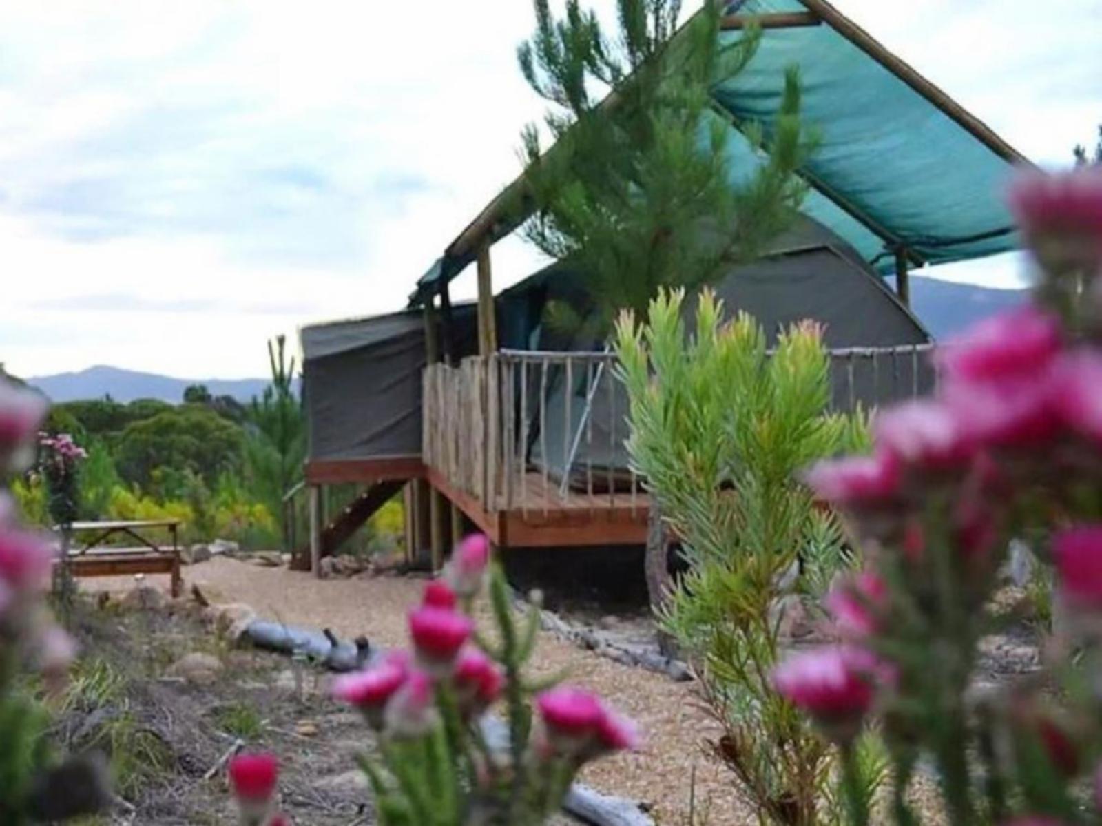Otium Oasis Glamping & Camping, Caledon, Western Cape | Weekend Getaway ...