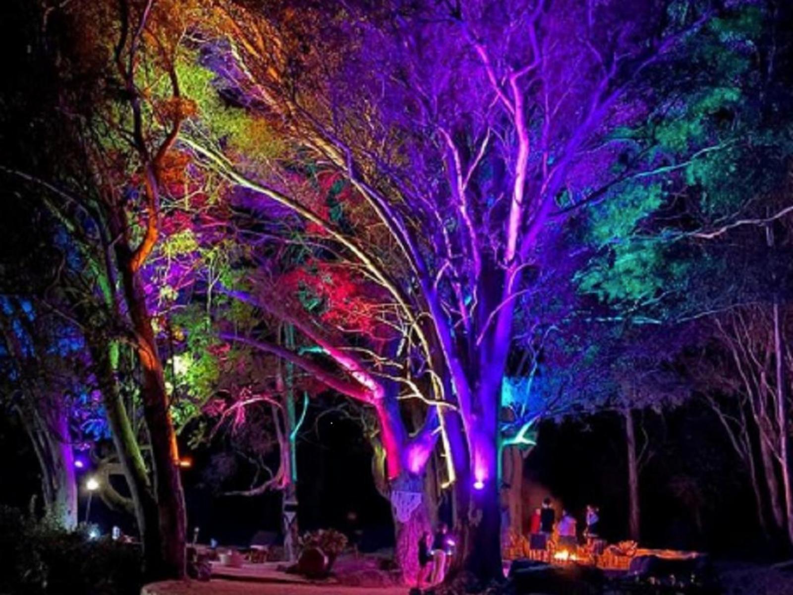 Waterfall Farm in Citrusdal - BEST Getaways - South Africa's best ...