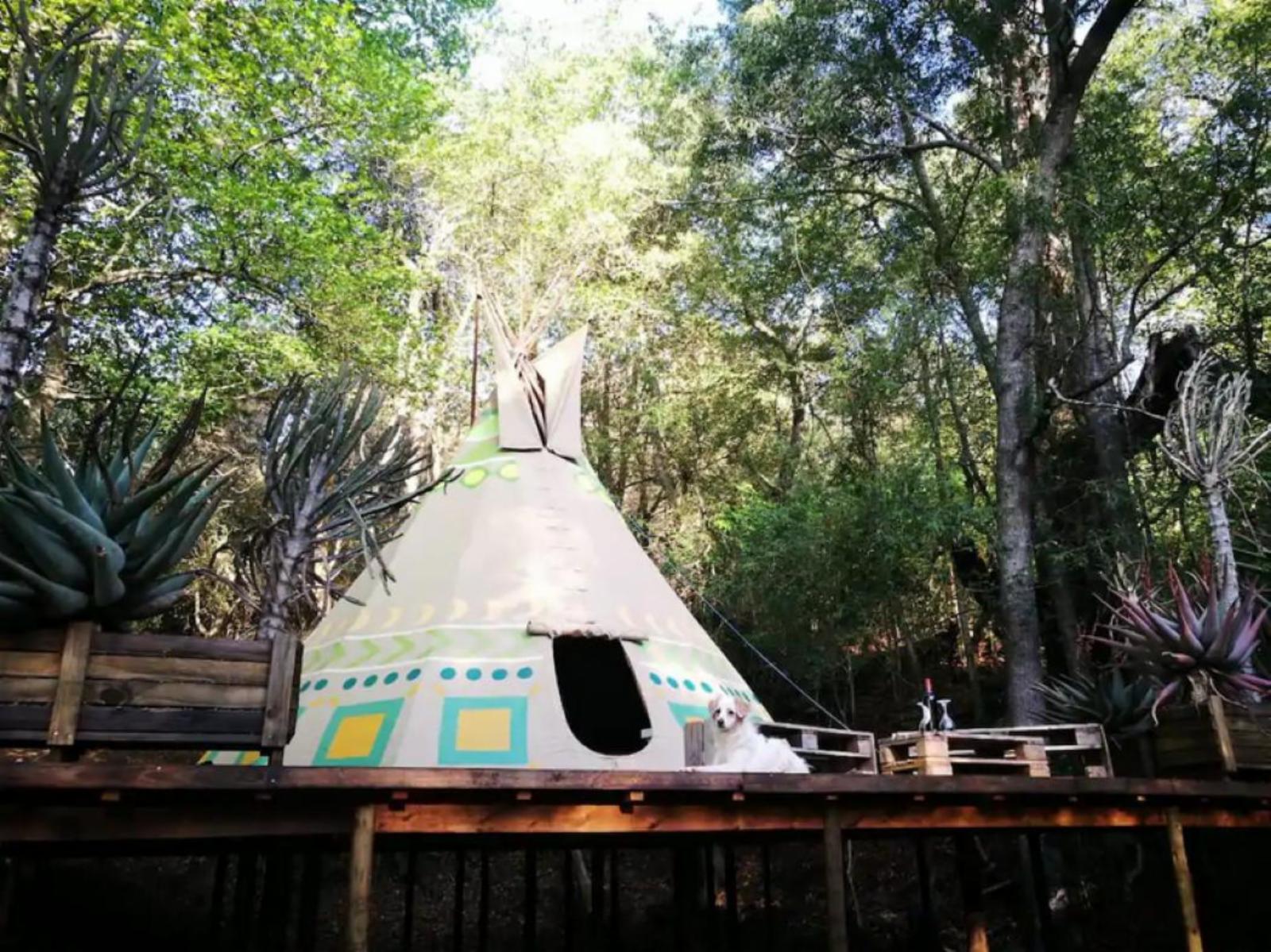 The Magical Teepee Experience in Hogsback - BEST Getaways - South Africa's best weekend getaways