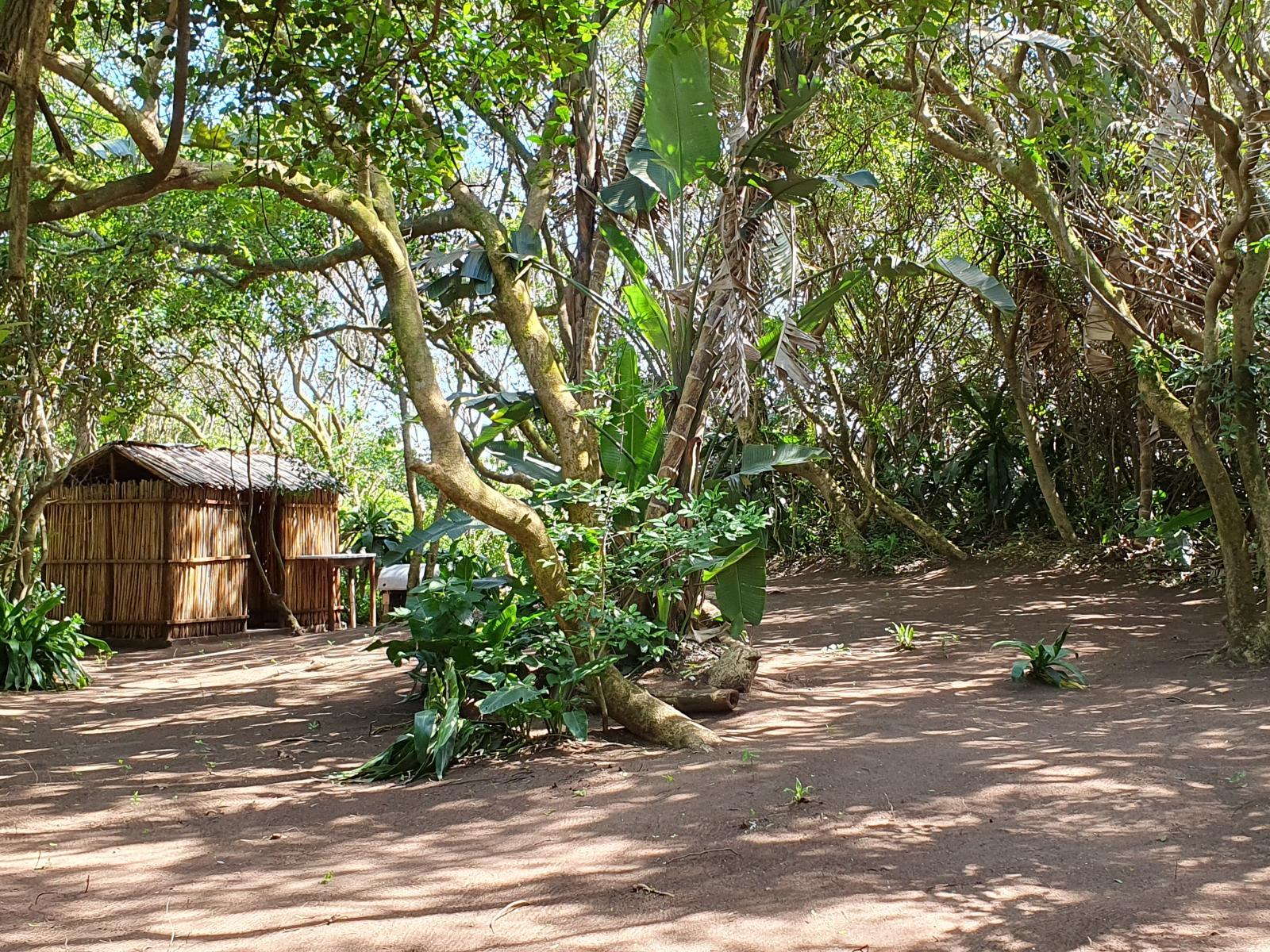 Tugela Mouth Lighthouse Bush Camp in Tugela Mouth - BEST Getaways ...