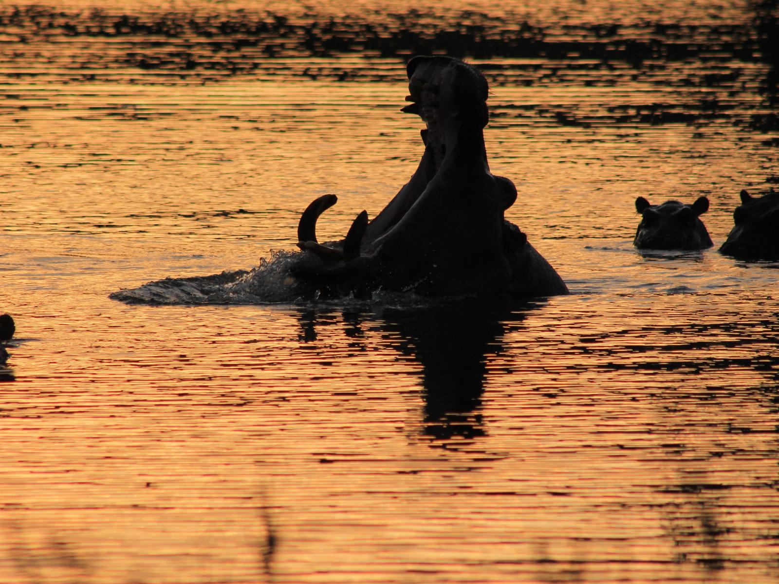 Mabalingwe Game Reserve – StayHere