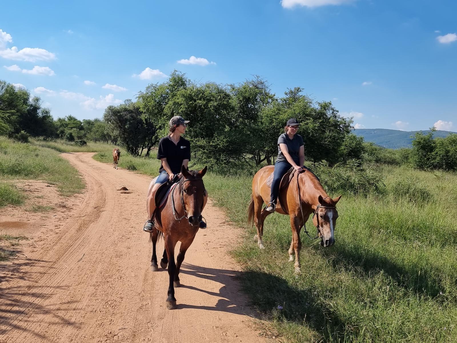 Mabalingwe Game Reserve – StayHere