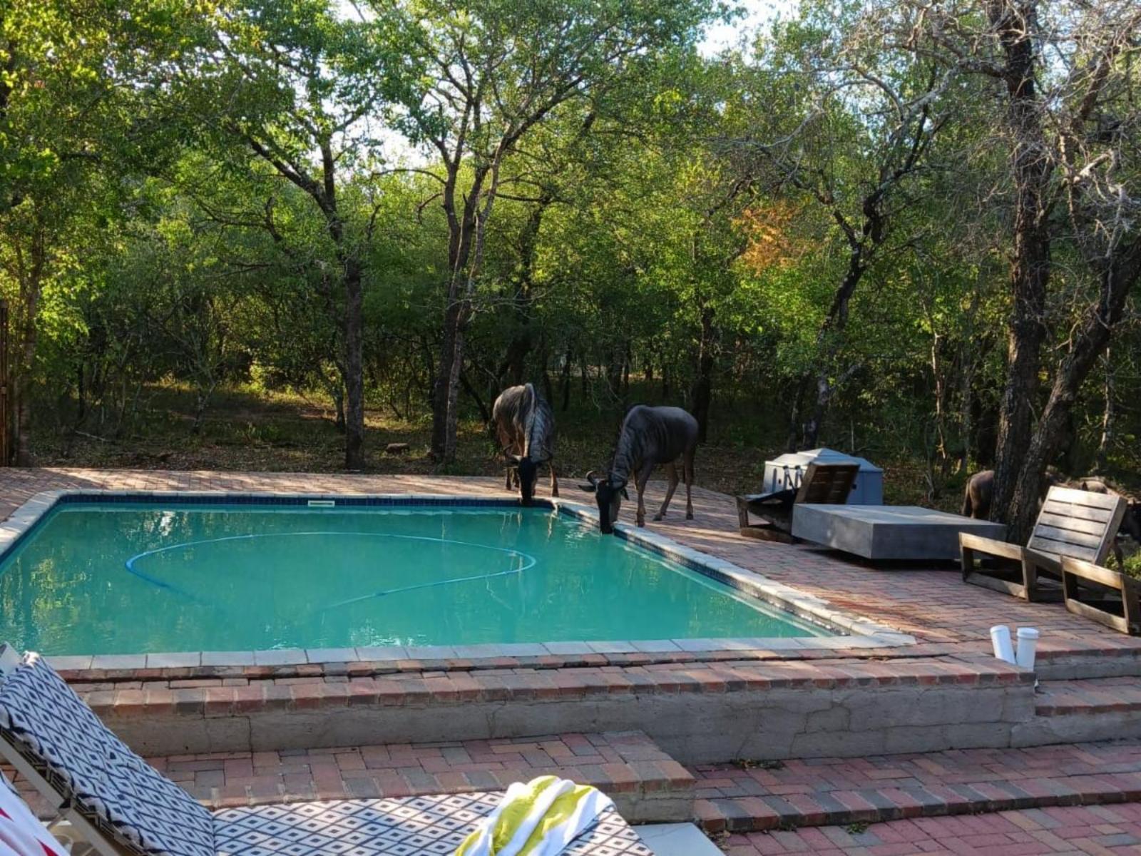 Marloth Cottage | Get the Best Accommodation Deal - Book Self-Catering ...