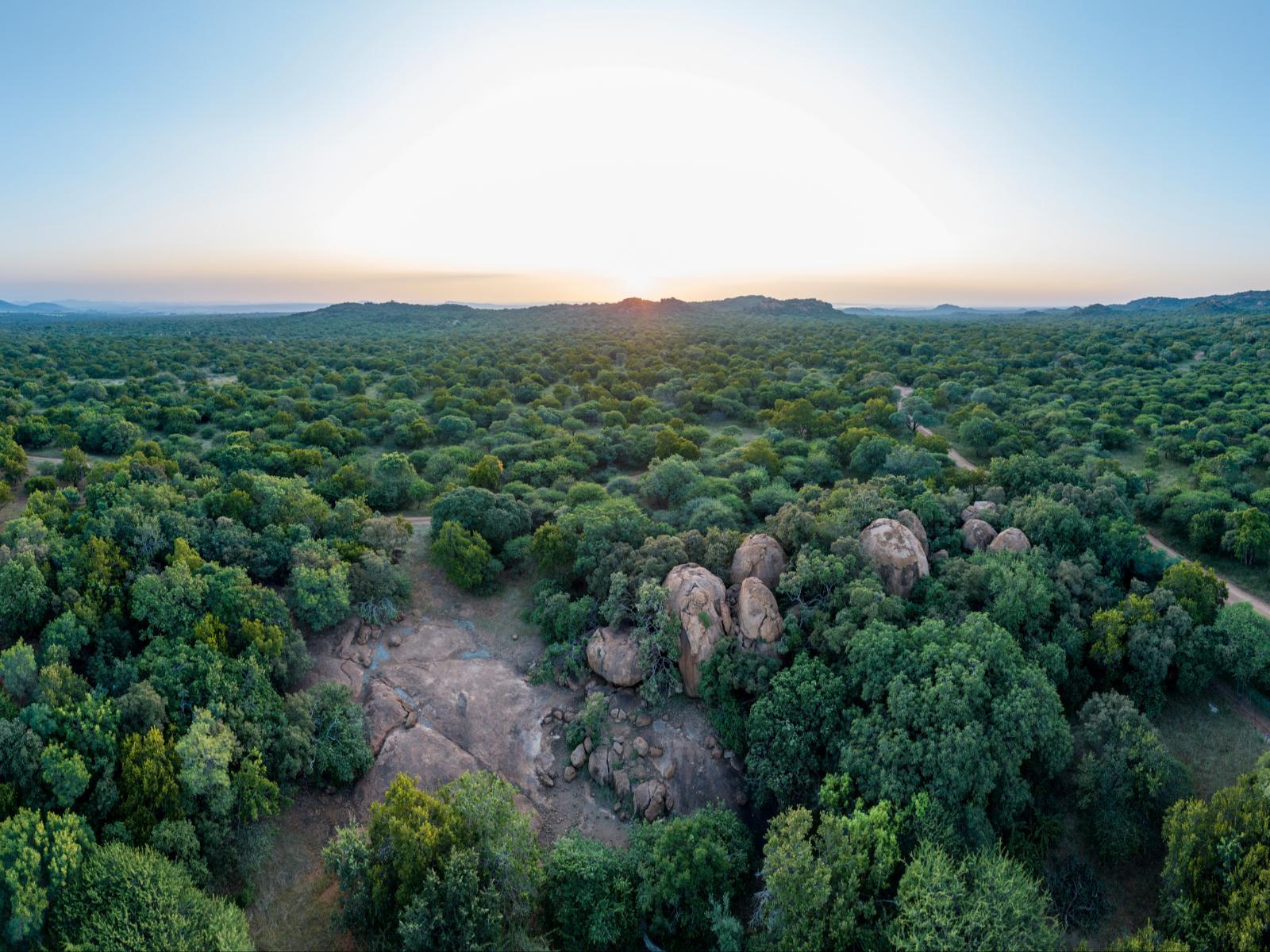 Sable Ranch Bush Lodge