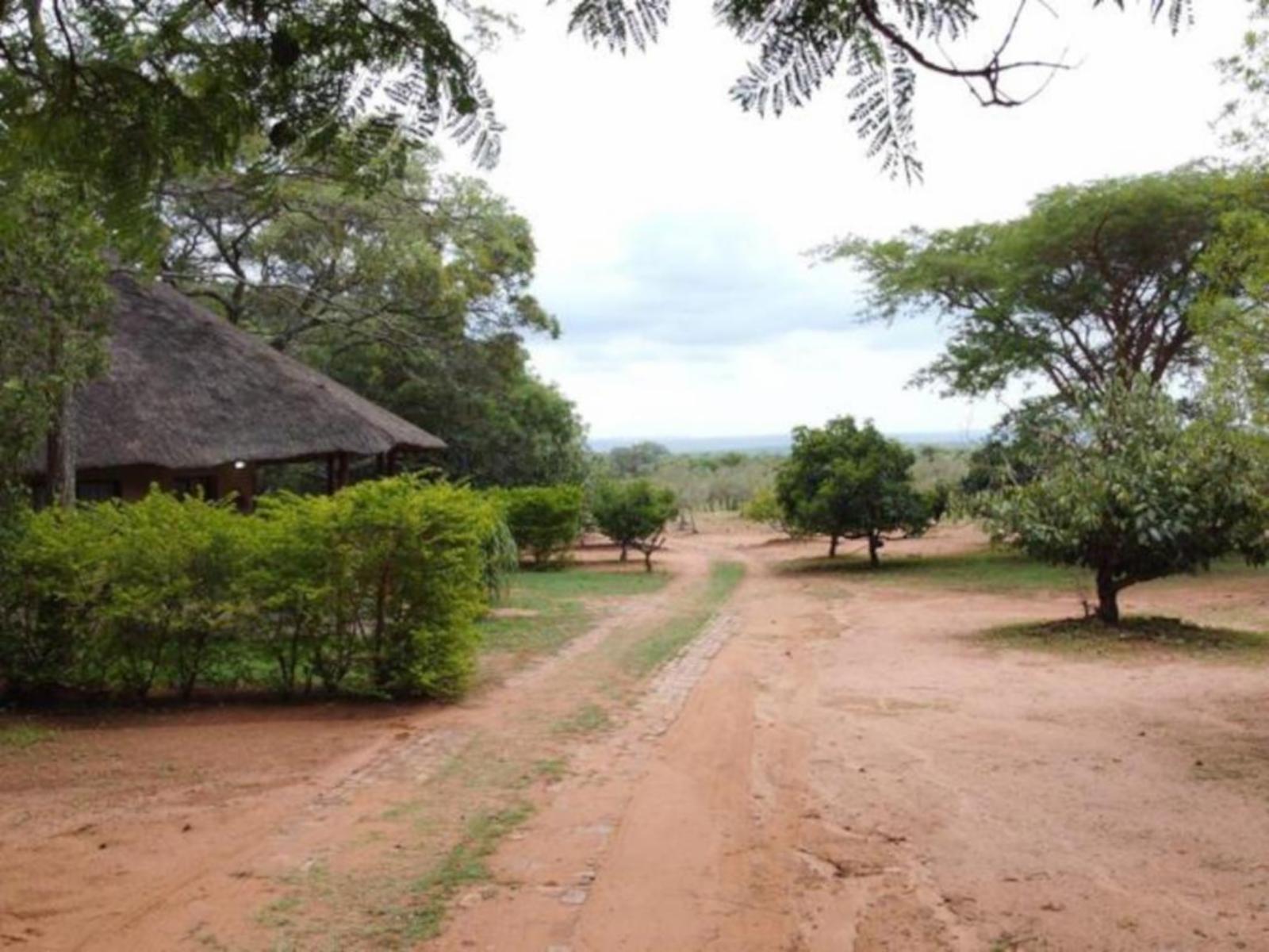 La Campagna Olive Estate in Modimolle - BEST Getaways - South Africa's ...