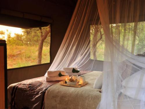 Shikwaru Lodge | Budget Accommodation Deals and Offers Book Now!